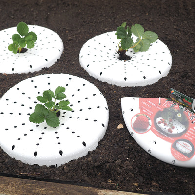 Polynet Products | Mikroclima Crop Cover | New Zealand