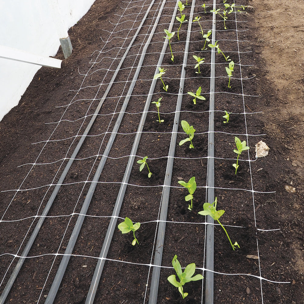 Hortonova Flower Support Netting FG grid 150mm x 170mm – Polynet Products