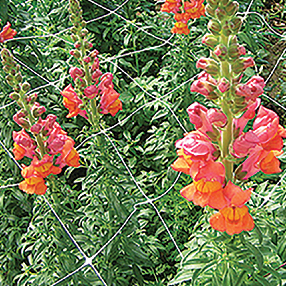 Hortonova Flower Support Netting FGPO grid 125mm x 125mm – Polynet Products